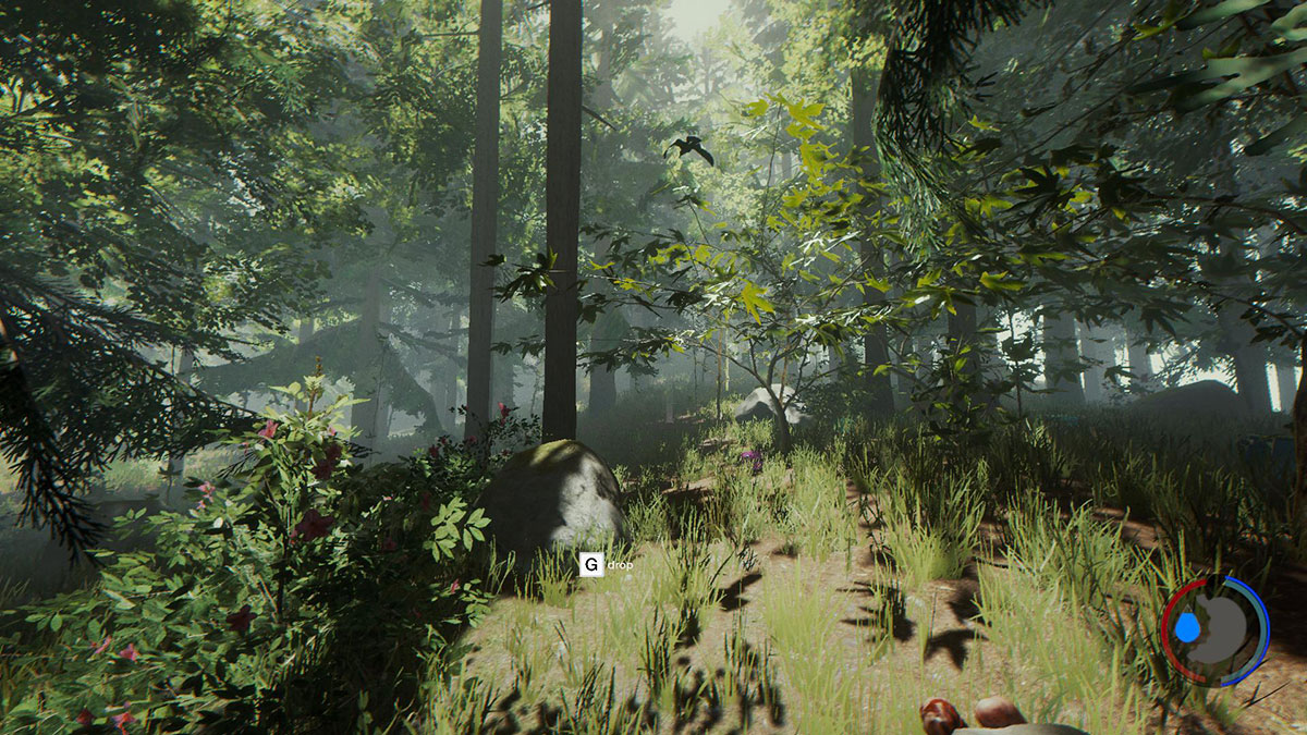 Survival Survival: The Forest | In An Age